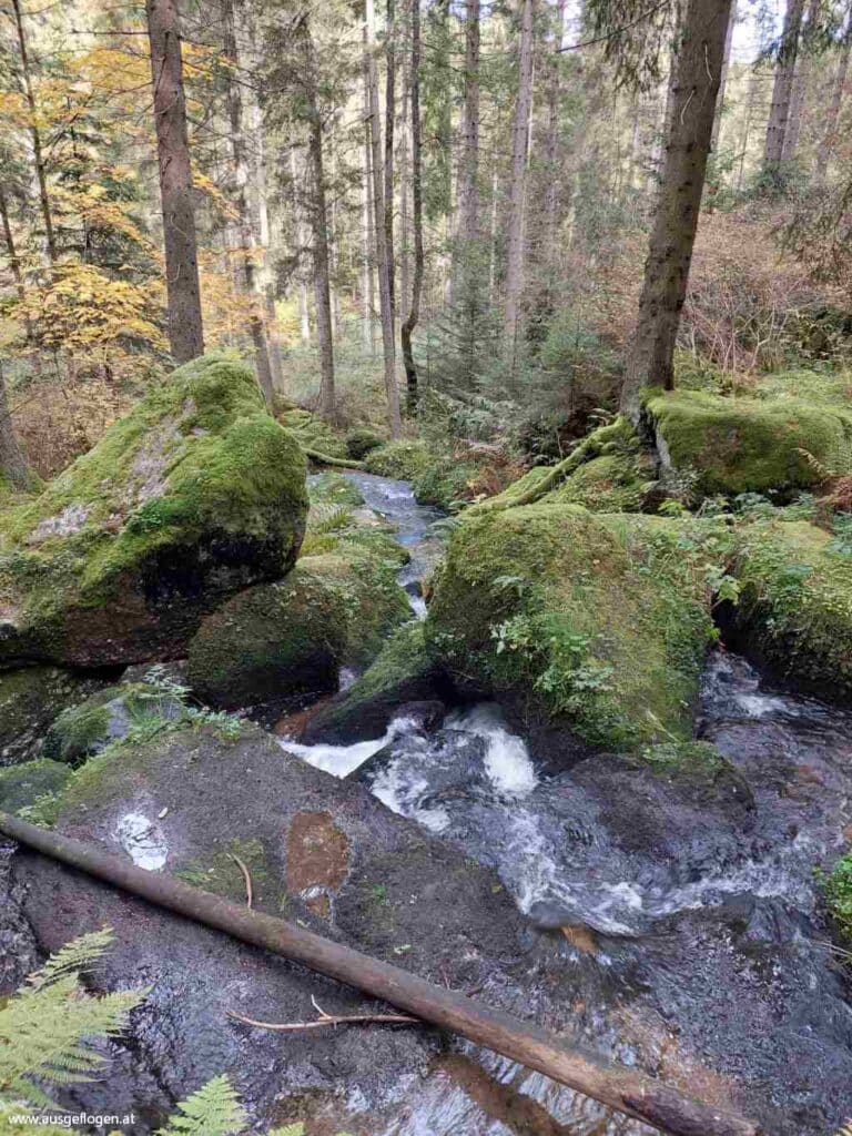 Wandern zum LOHNBACHFALL: Waldviertel-Ausflug (mit Kindern)
